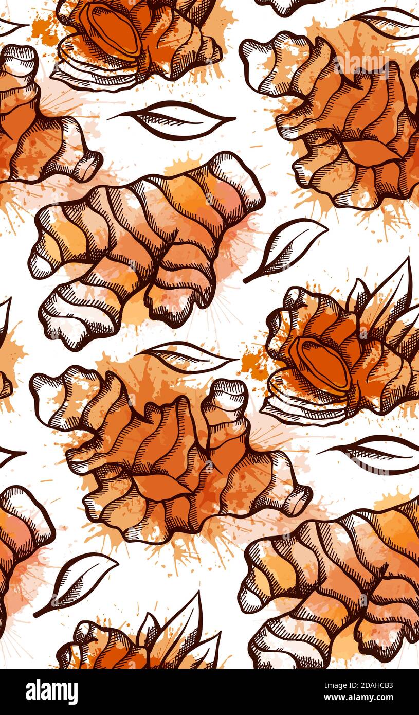 Seamless texture of sketch of ginger root, foliage with strokes and ...