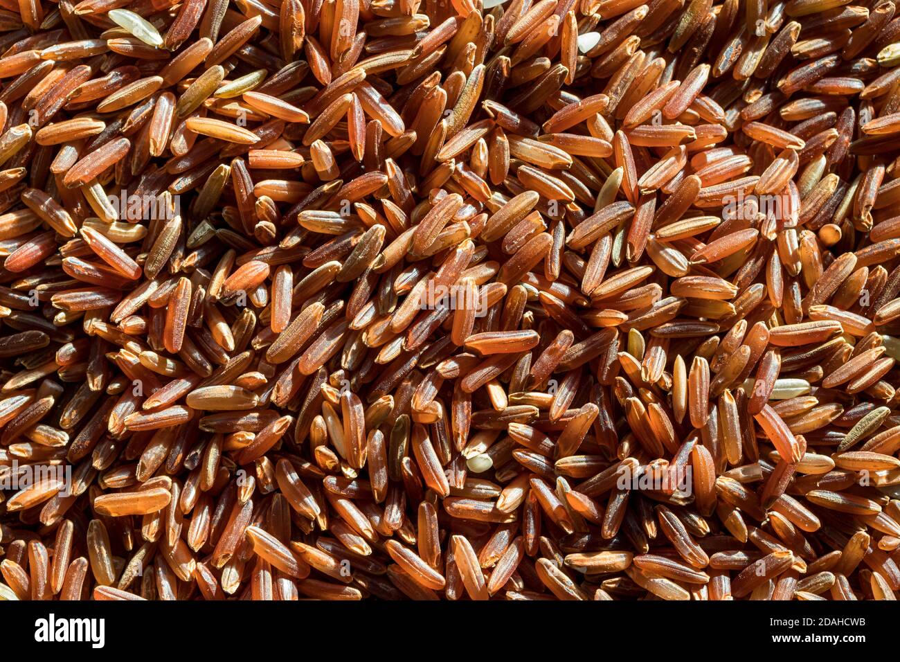 Texture of grains of red uncooked rice Stock Photo - Alamy