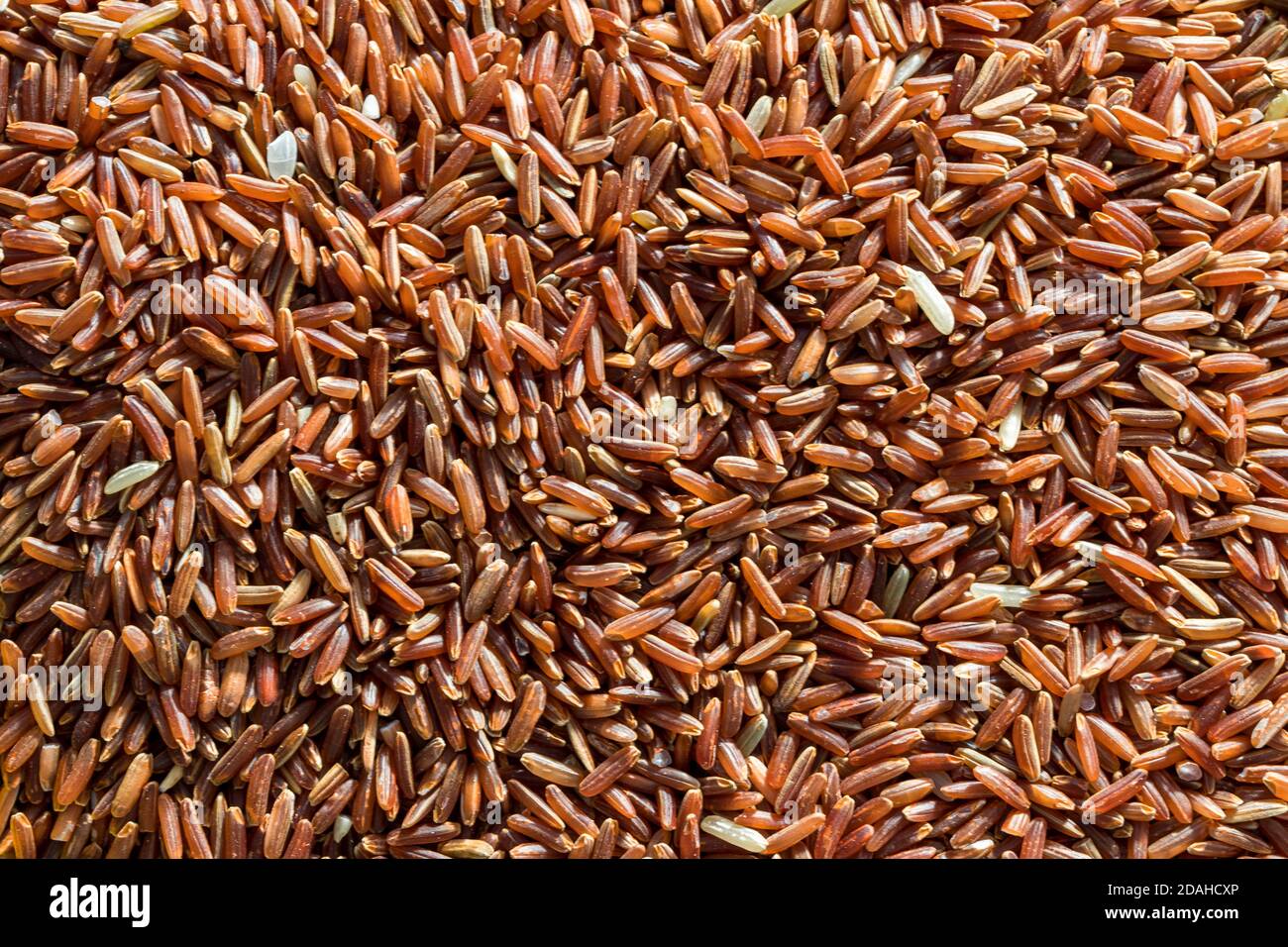 Texture of grains of red uncooked rice Stock Photo - Alamy