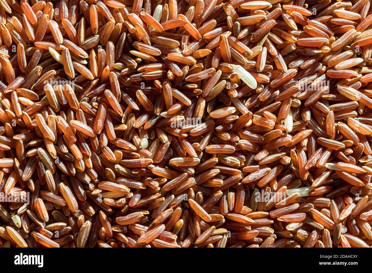 Texture of grains of red uncooked rice Stock Photo - Alamy