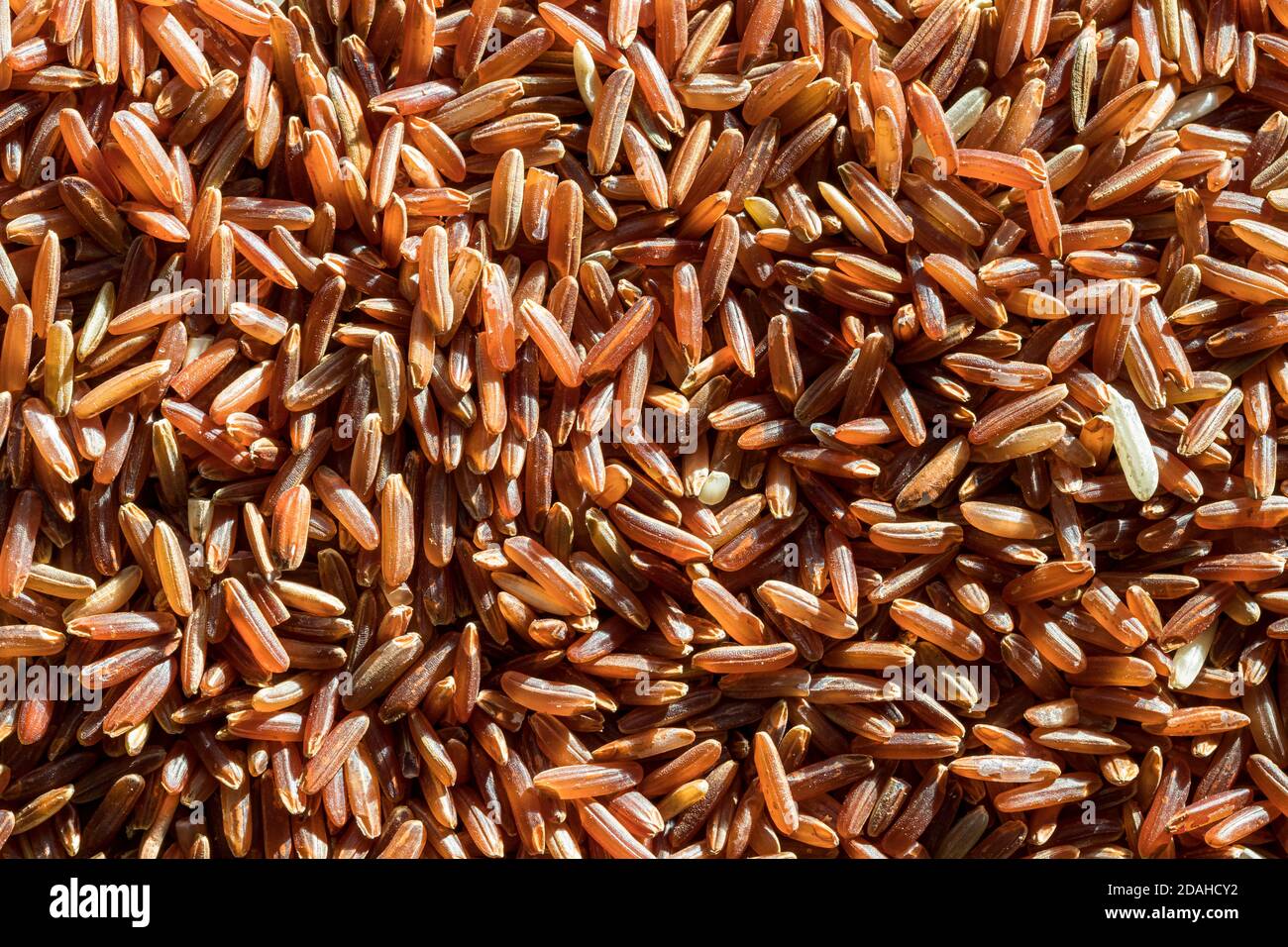 Texture of grains of red uncooked rice Stock Photo - Alamy