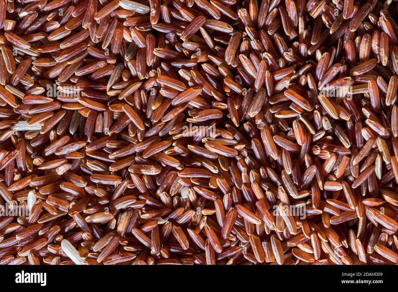 Texture of grains of red uncooked rice Stock Photo - Alamy