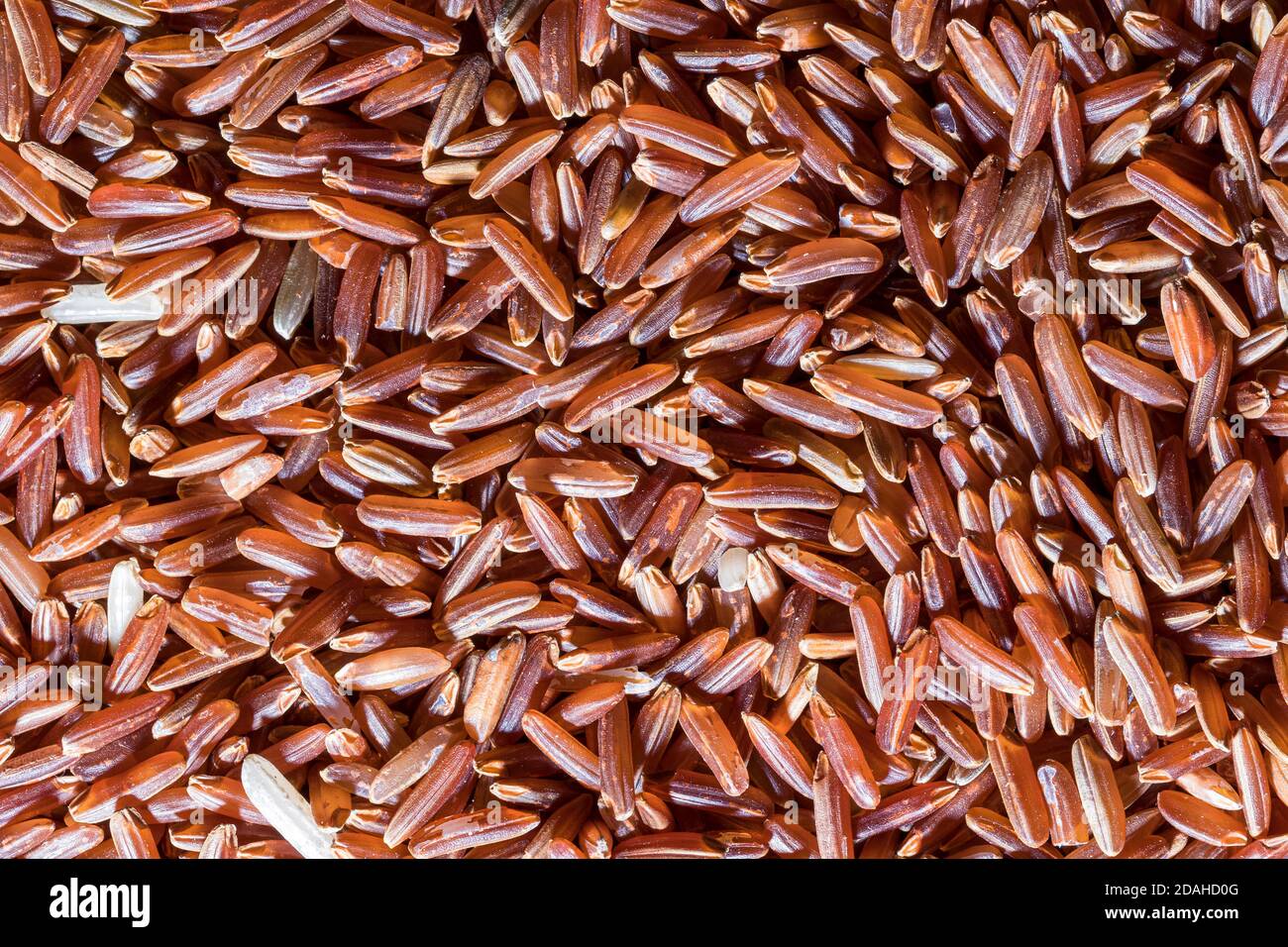 Texture of grains of red uncooked rice Stock Photo - Alamy