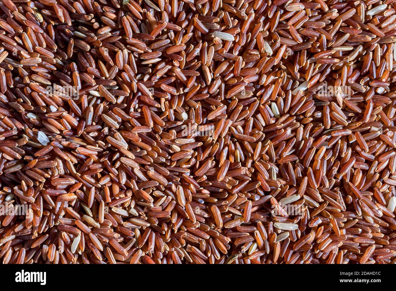 Texture of grains of red uncooked rice Stock Photo - Alamy