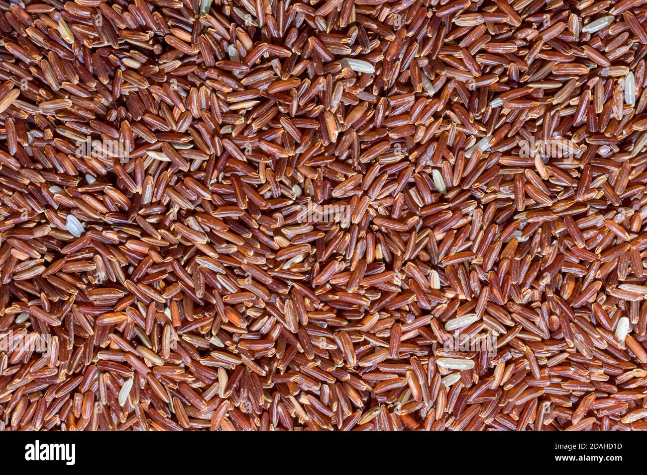 Texture of grains of red uncooked rice Stock Photo - Alamy