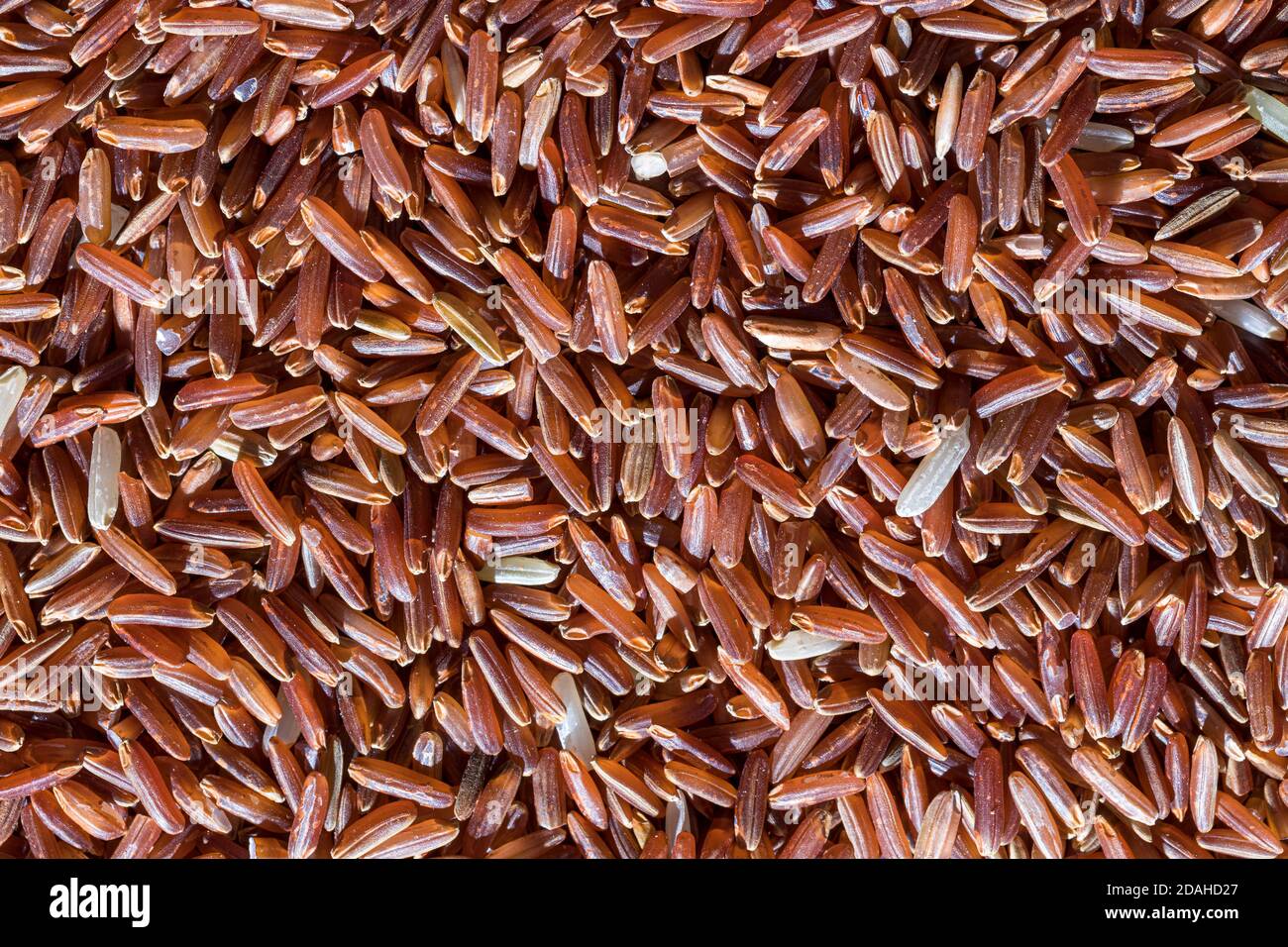 Texture of grains of red uncooked rice Stock Photo - Alamy