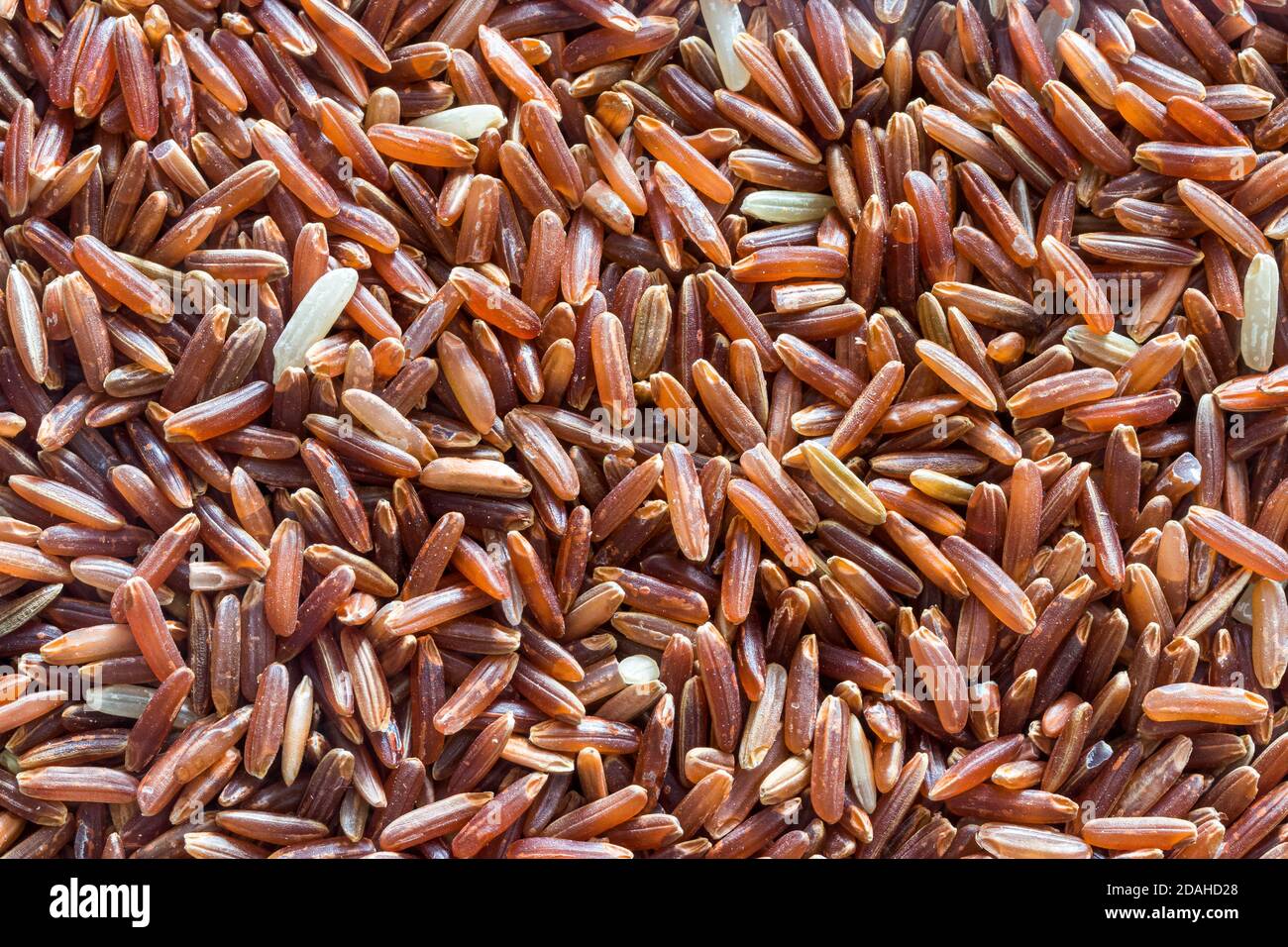 Texture of grains of red uncooked rice Stock Photo - Alamy
