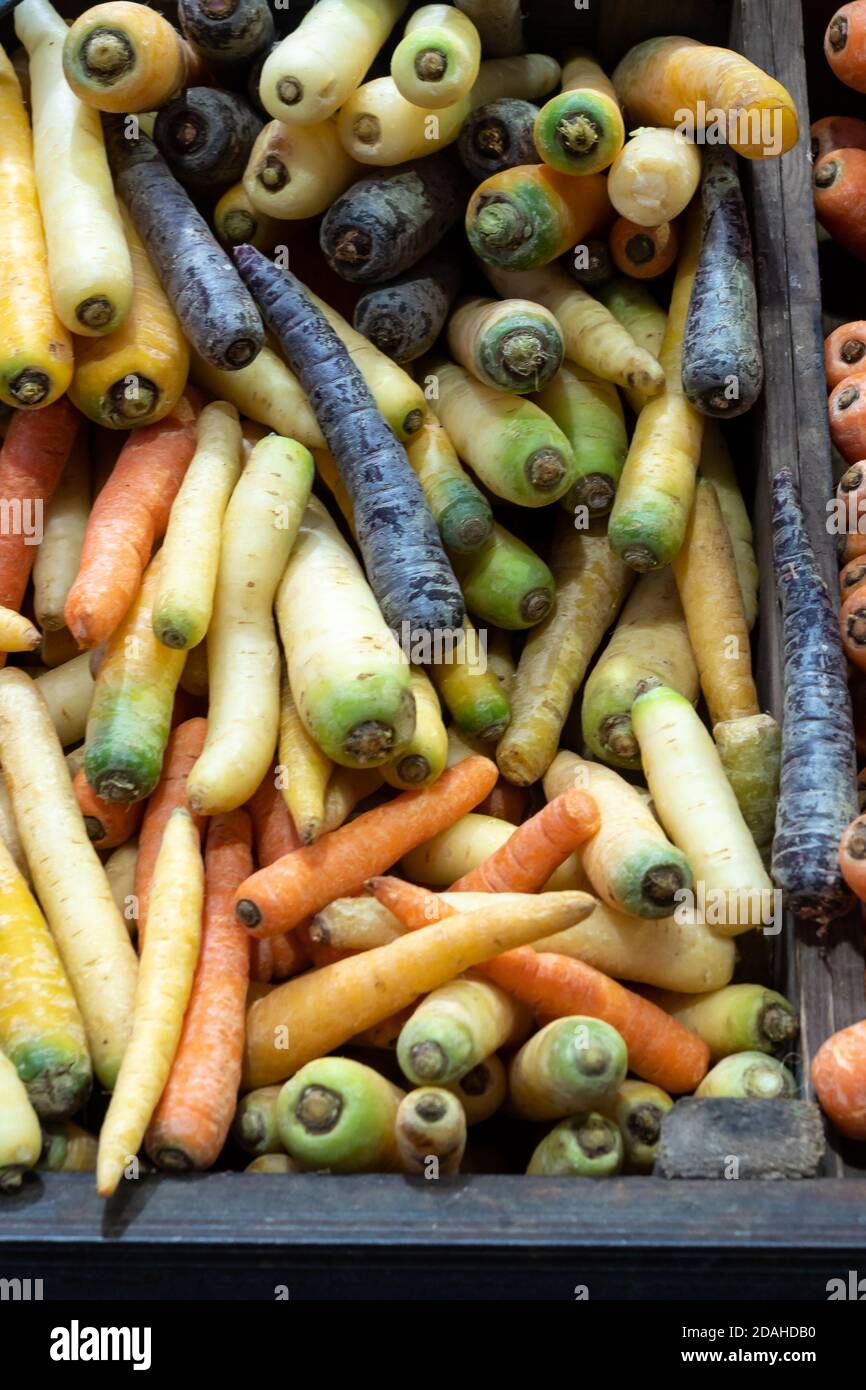 Mixed coloured heritage carrots hi-res stock photography and images - Alamy