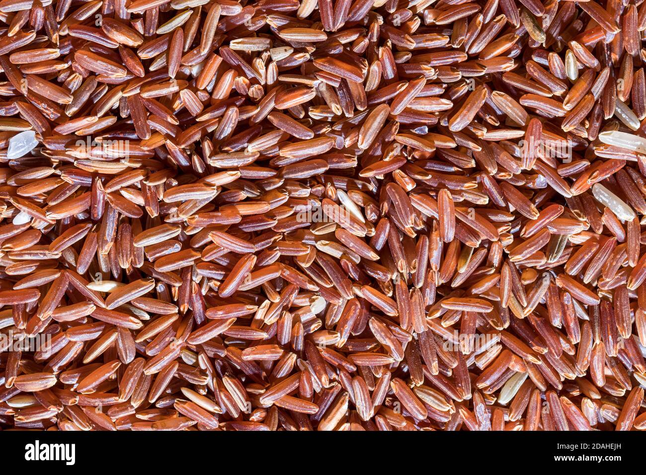 Texture of grains of red uncooked rice Stock Photo - Alamy