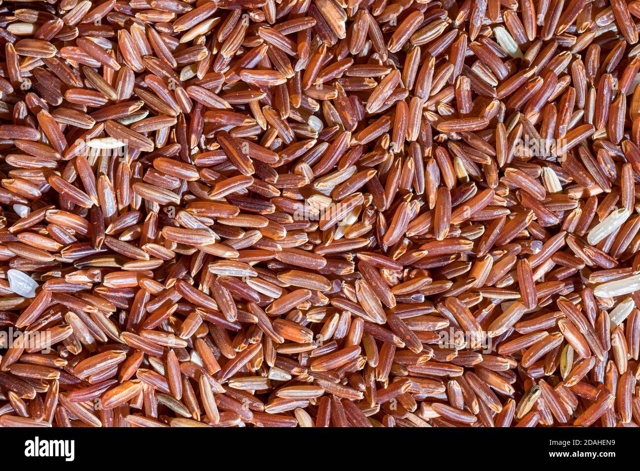 Texture of grains of red uncooked rice Stock Photo - Alamy