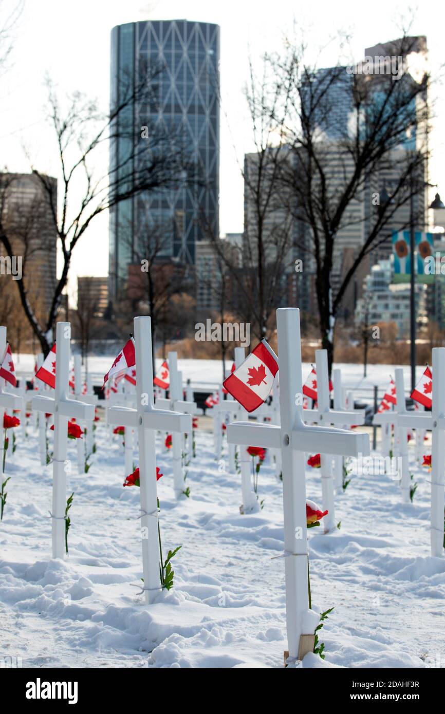 Calgary, Alberta November 11, 2020 - Thousands of crosses lined up row ...