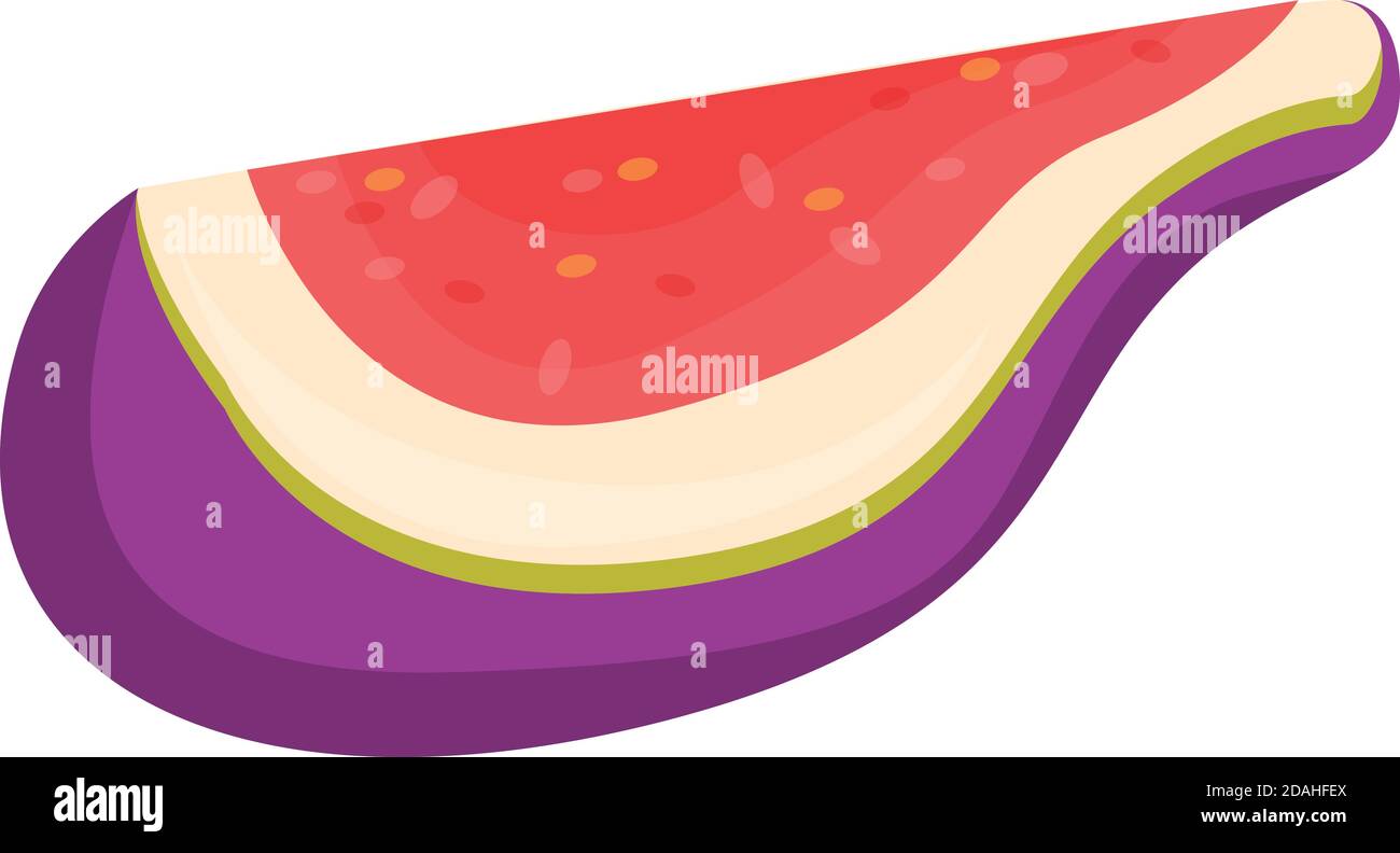 Dessert fig icon. Cartoon of dessert fig vector icon for web design ...