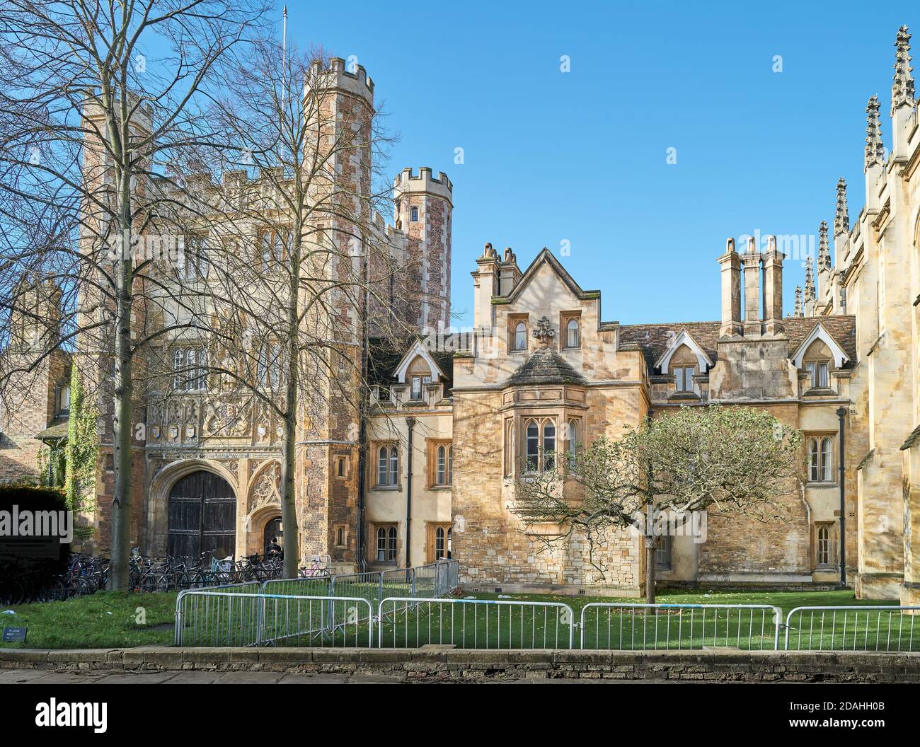 Cambridge apple tree hi-res stock photography and images - Alamy