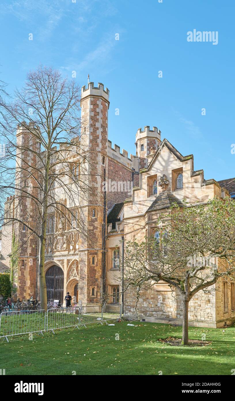Trinity college tree hi-res stock photography and images - Alamy