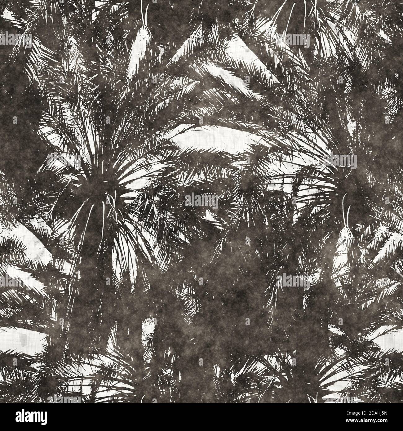 Neutral tropical palm tree leaves seamless pattern Stock Photo - Alamy