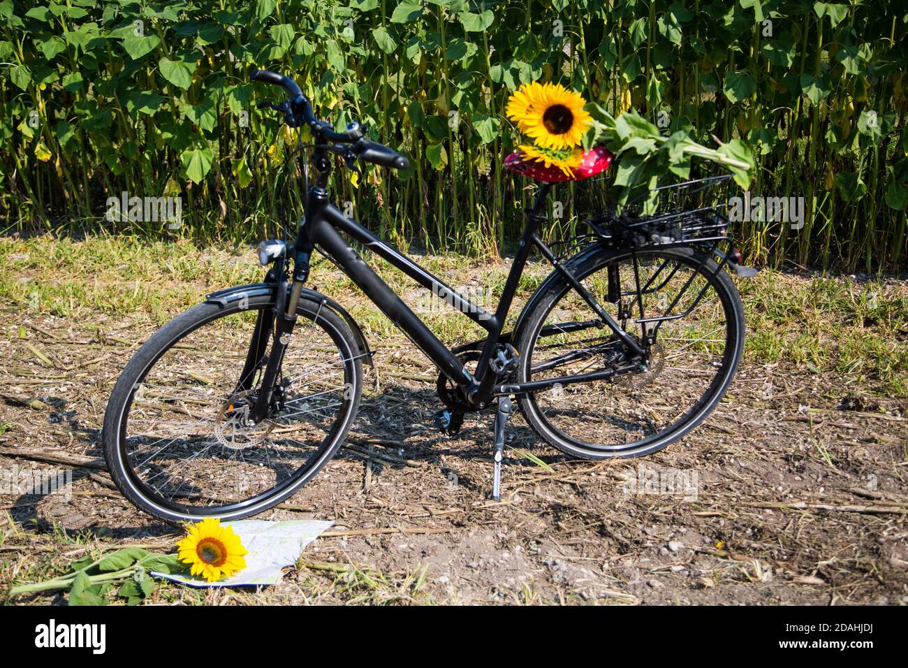 Bicycle tour, map is in front of front wheel, bike ride Stock Photo - Alamy