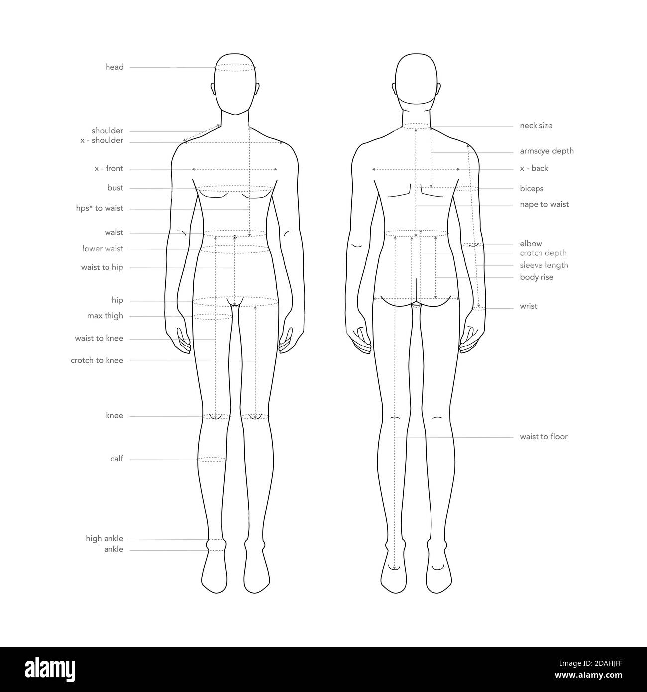 nv m nt n Special Carte Po tal Body Measurements For Men nv m nt n Special Carte Po tal Body Measurements For Men