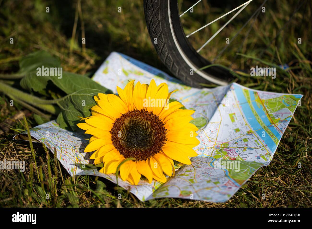 Bicycle tour, map is in front of front wheel, bike ride Stock Photo - Alamy