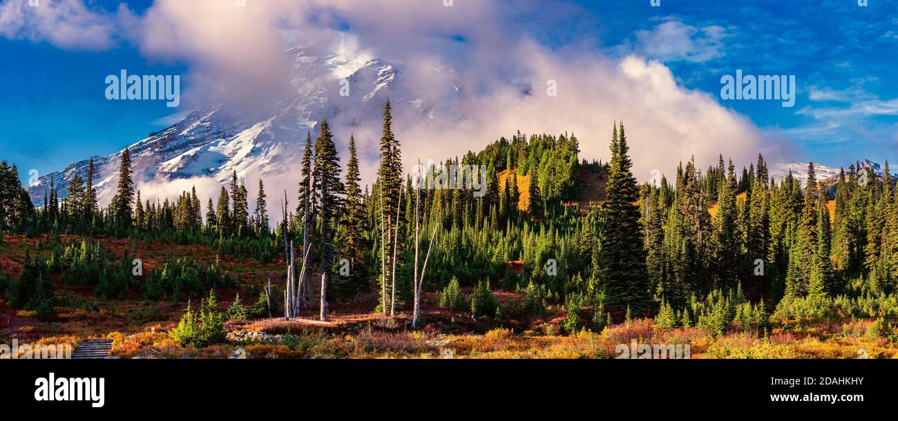 Mt Rainier panorama from Paradise in Mount Rainier National Park ...
