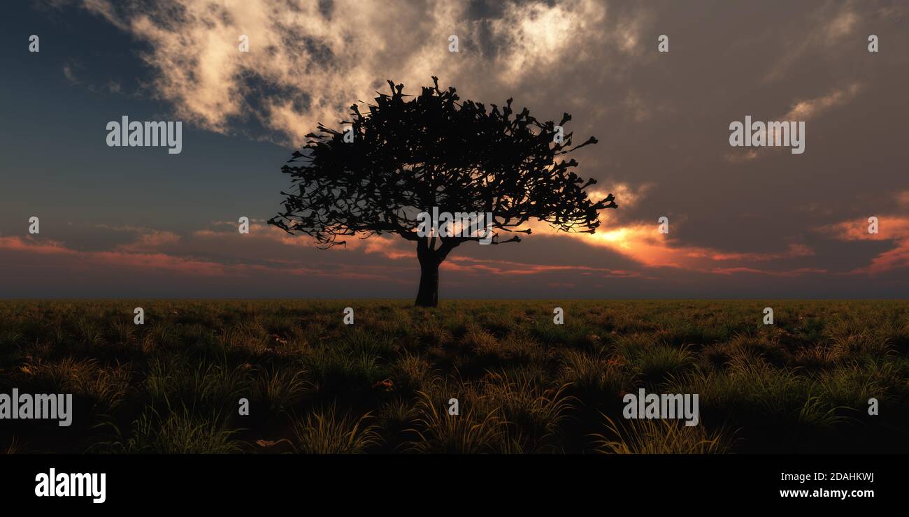 sunrise tree on field, 3d render illustration Stock Photo - Alamy