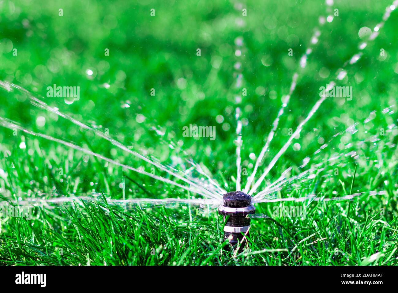 Automatic irrigation system lawn sprinkler hi-res stock photography and ...