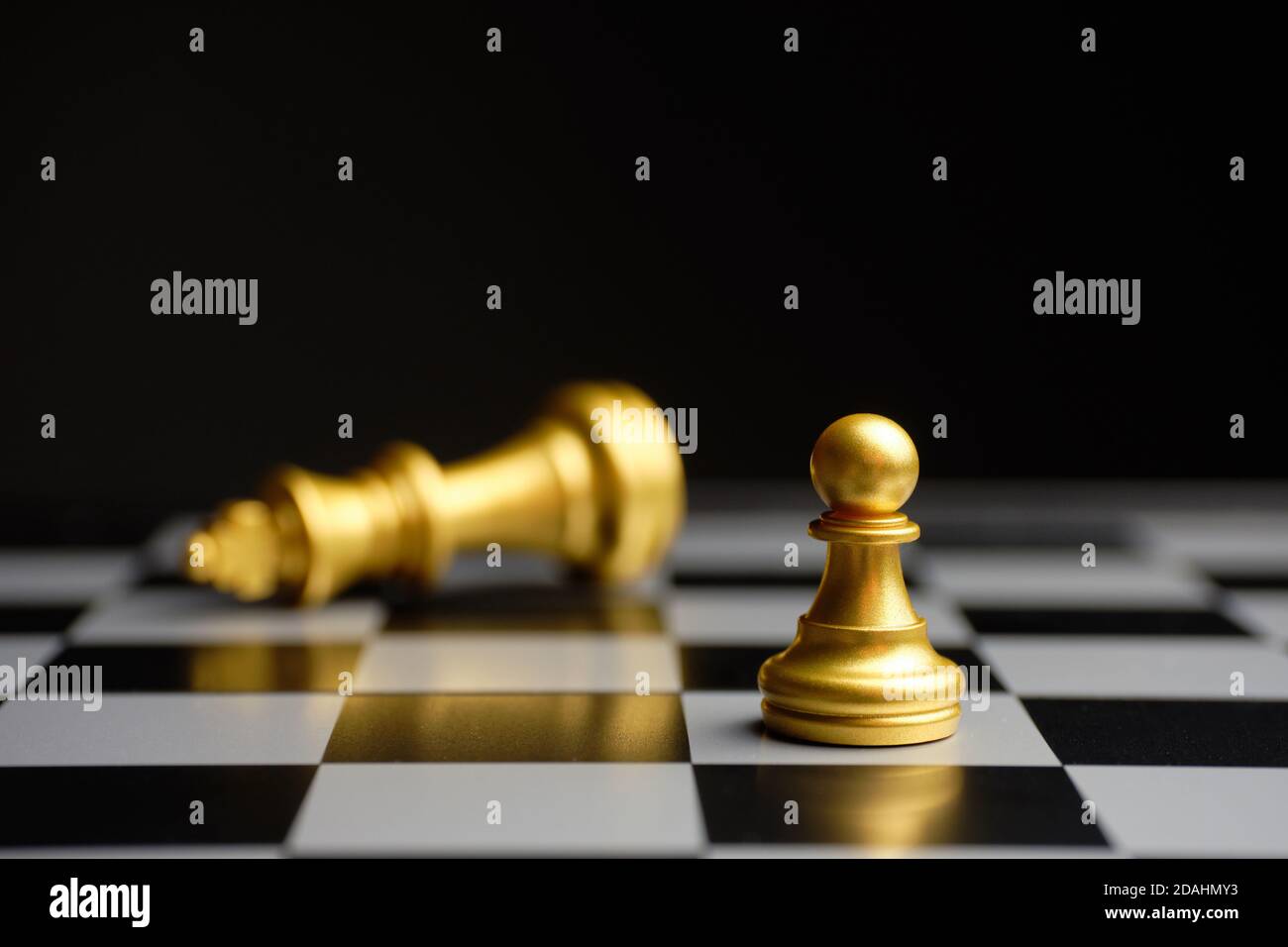 The concept of a winner and a leader over a strong opponent Stock Photo ...