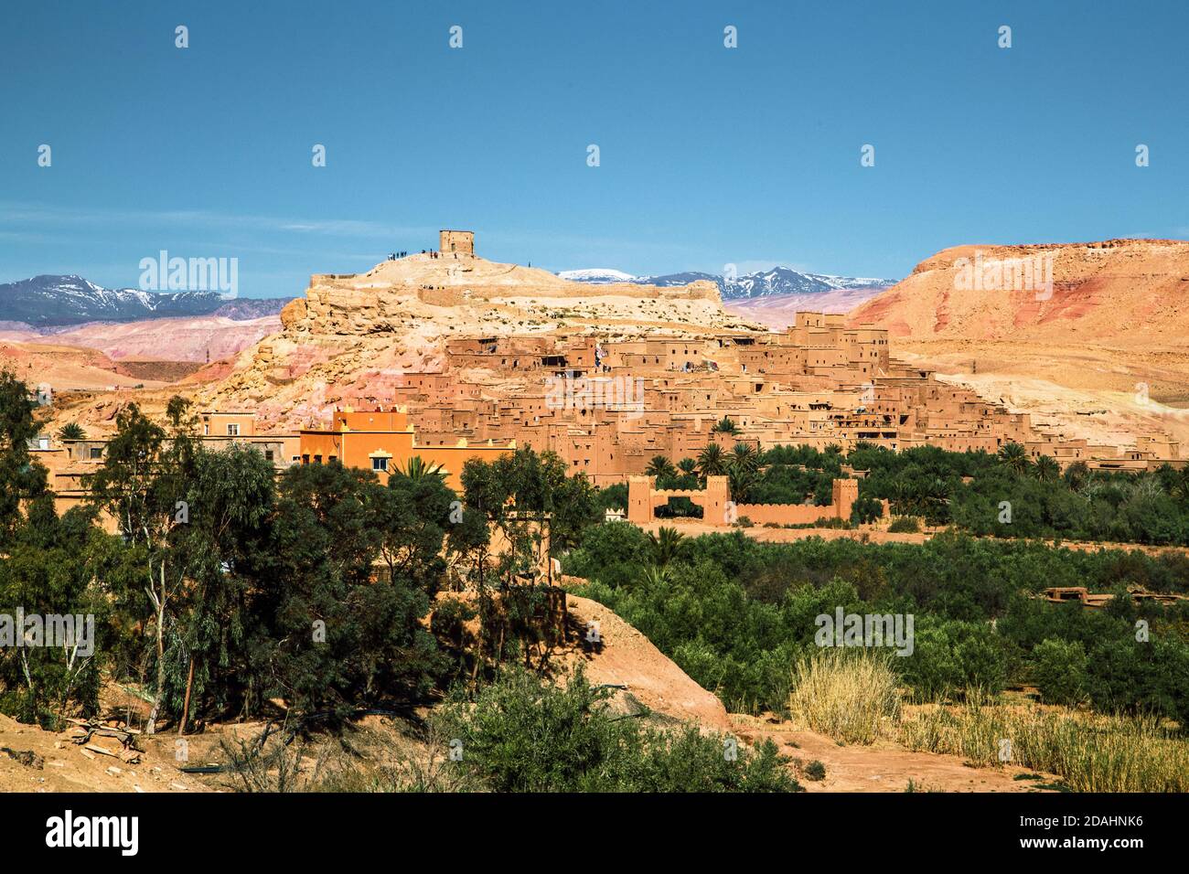Sahara desert oasis village hi-res stock photography and images - Alamy