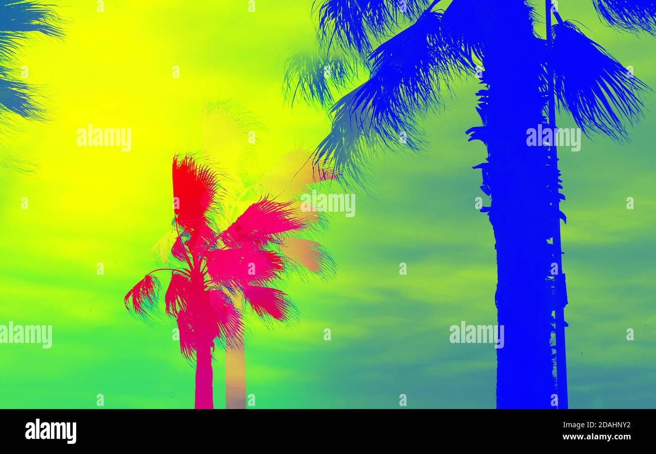 Retro illustration of the bright color of a palm tree Stock Photo - Alamy