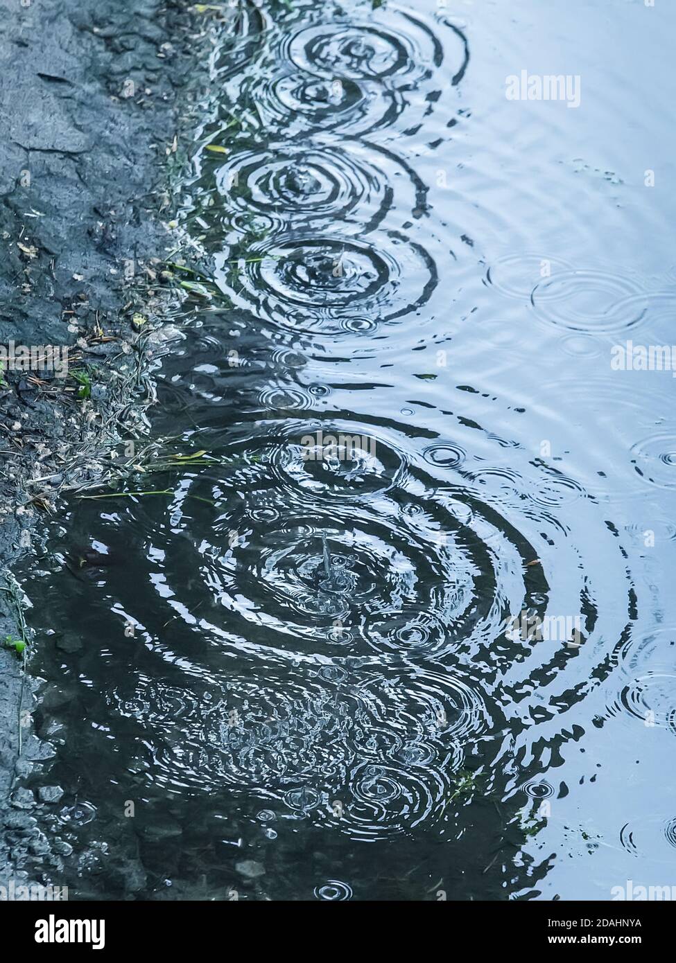 rain drops falling in pool on asphalt Stock Photo - Alamy