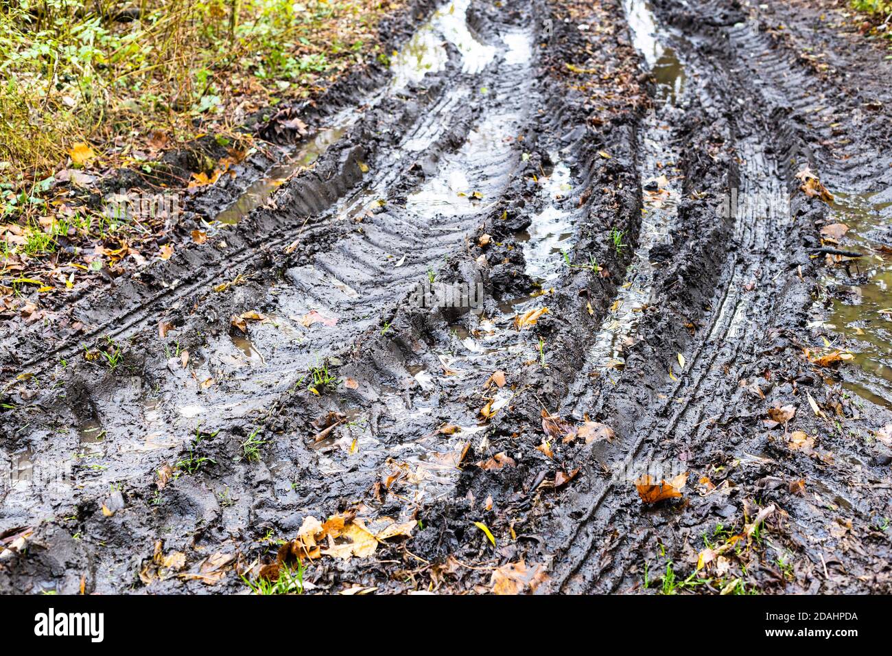 wet dirty country road with rain puddles on autumn day Stock Photo - Alamy