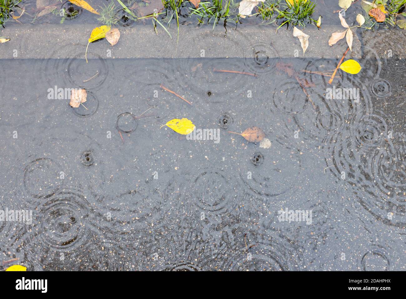 Raindrop on puddle hi-res stock photography and images - Alamy