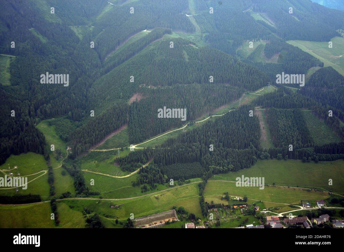 monoculture cultivation in the forest, lack of biodiversity as a threat ...