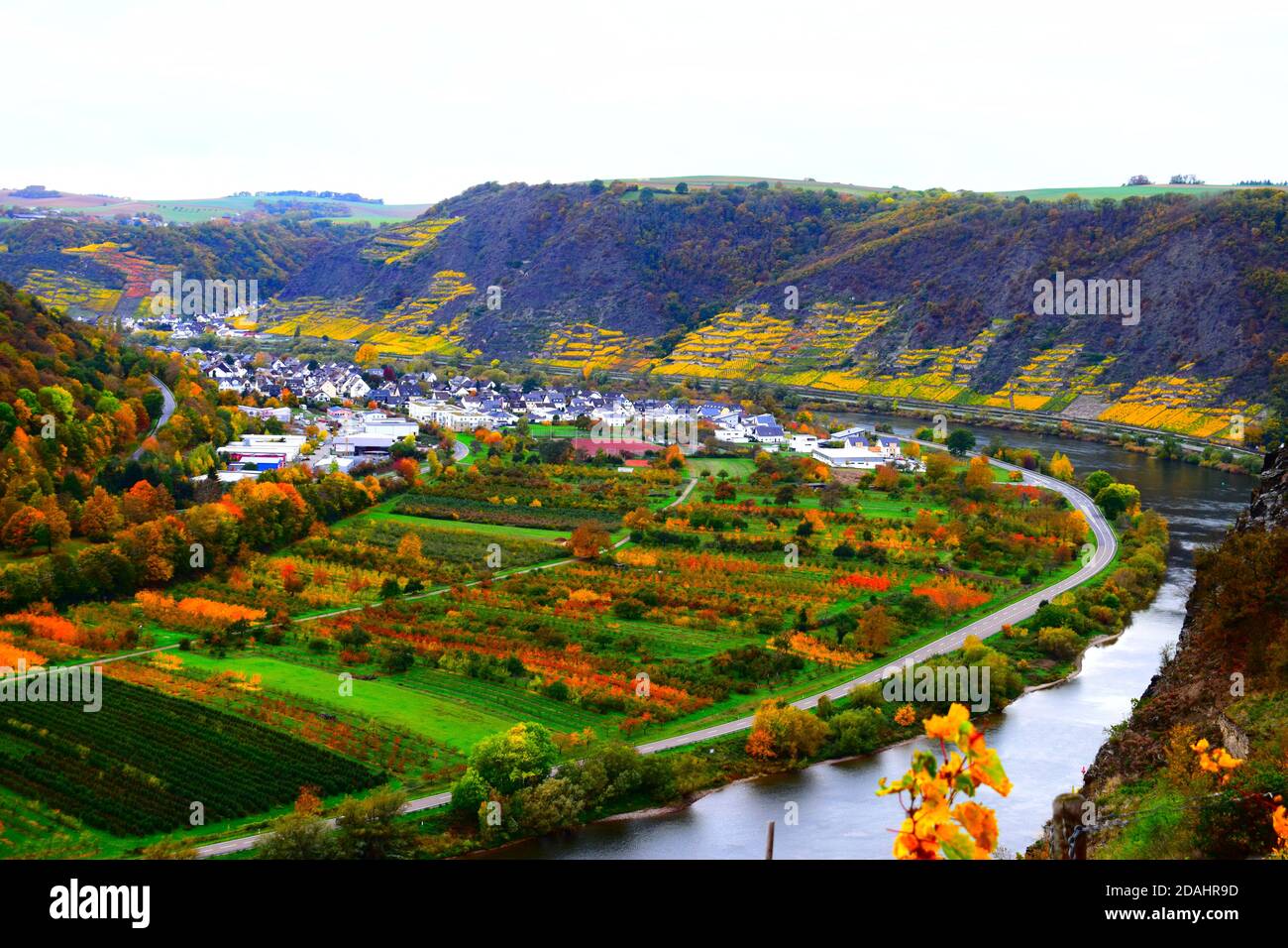 view into Mosel valley from Blumslay to Dieblich Stock Photo - Alamy