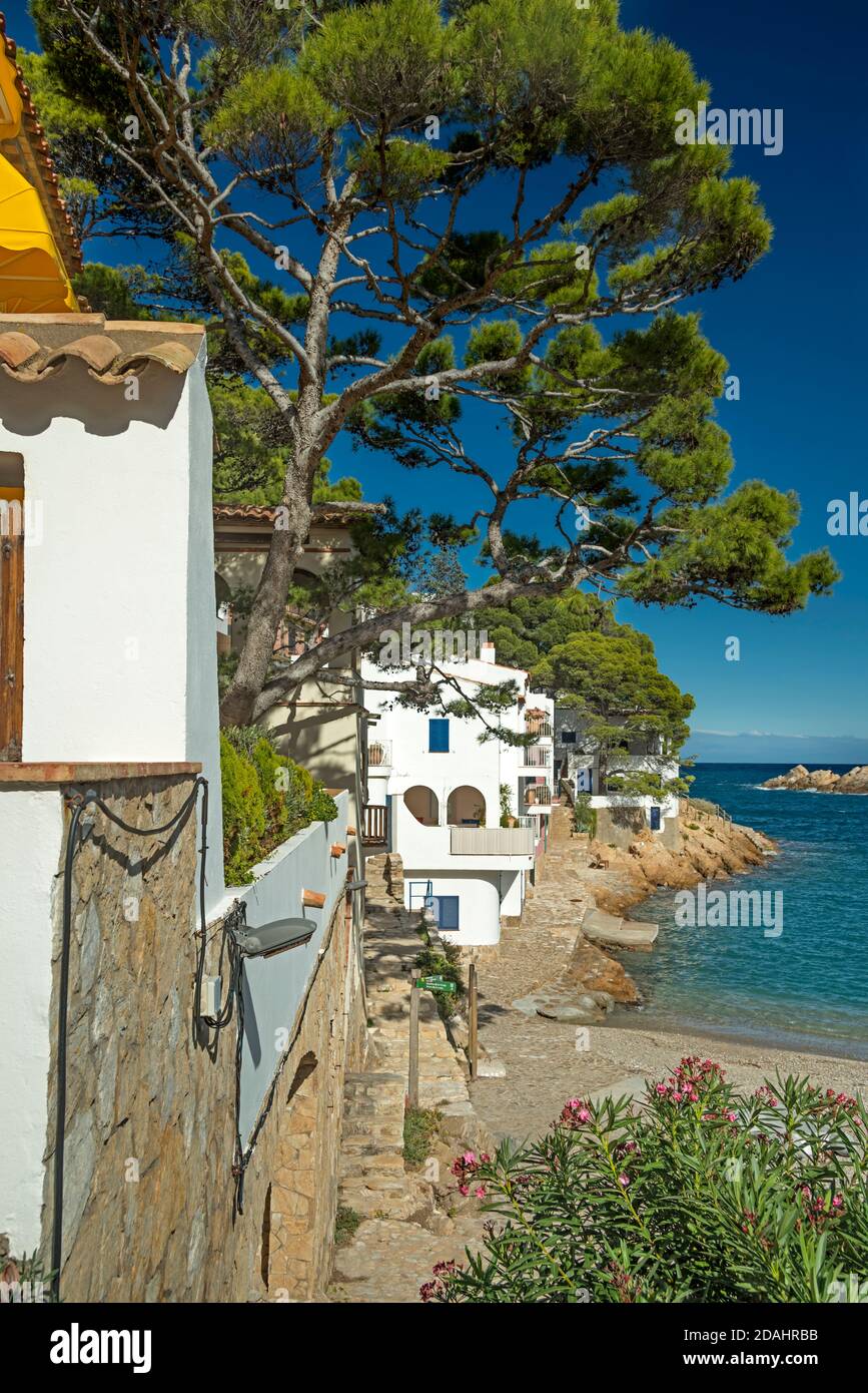 BEACH CALA SA TUNA BEGUR COSTA BRAVA CATALONIA SPAIN Stock Photo - Alamy