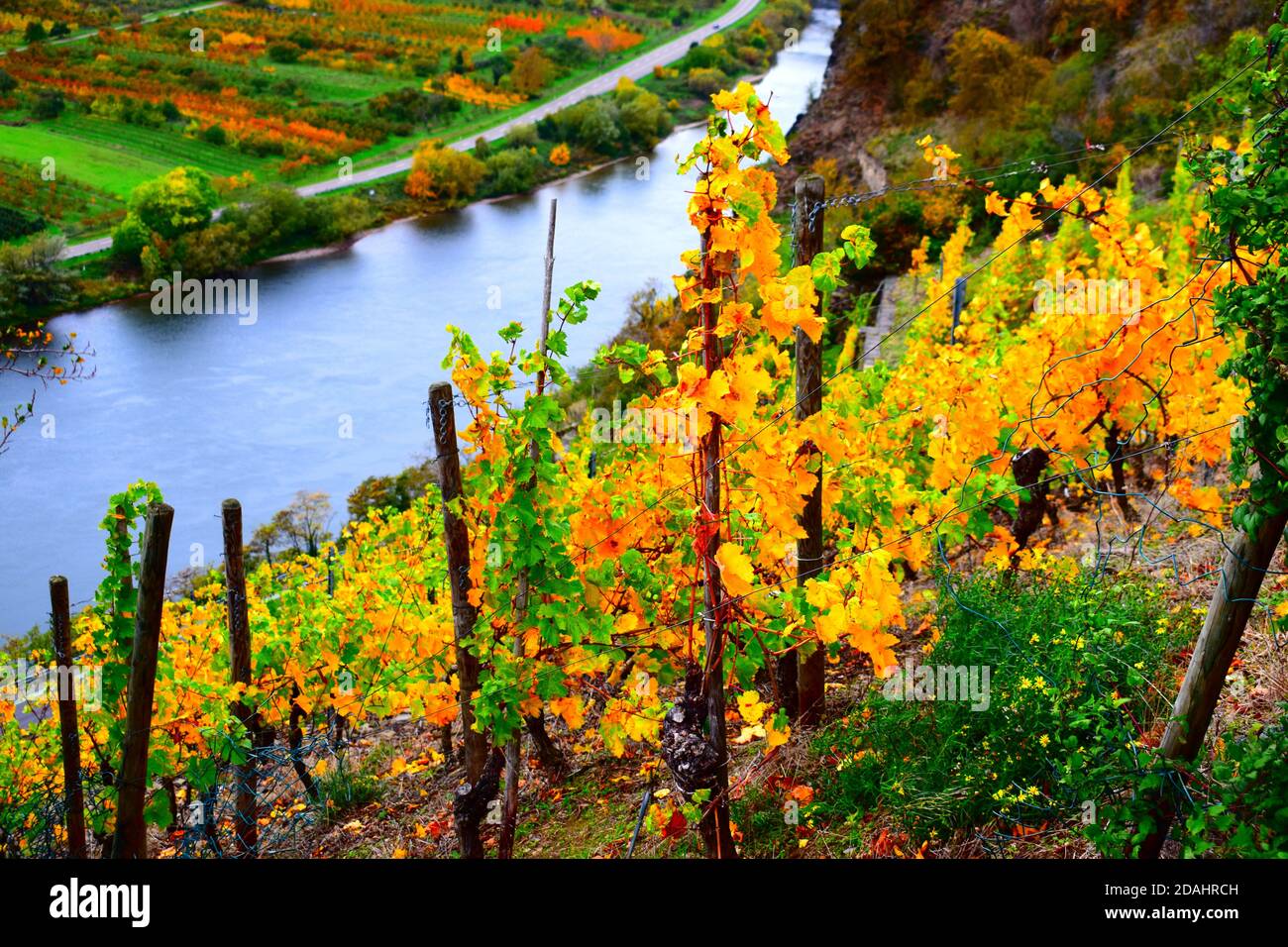 view into Mosel valley from Blumslay to Dieblich Stock Photo - Alamy