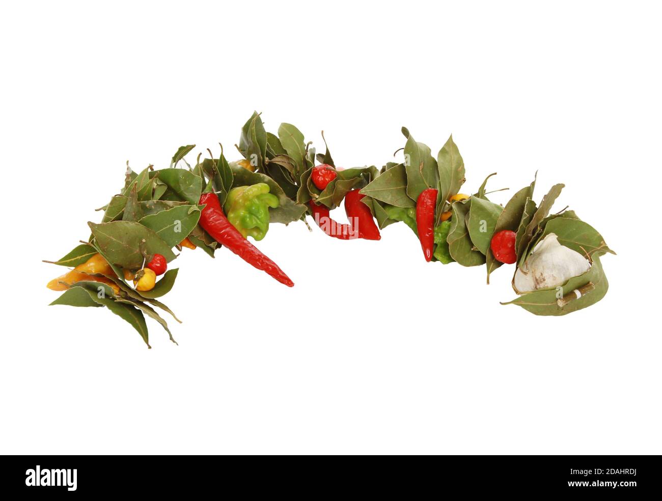 Chain of herbs and chili peppers isolated on a white background Stock ...