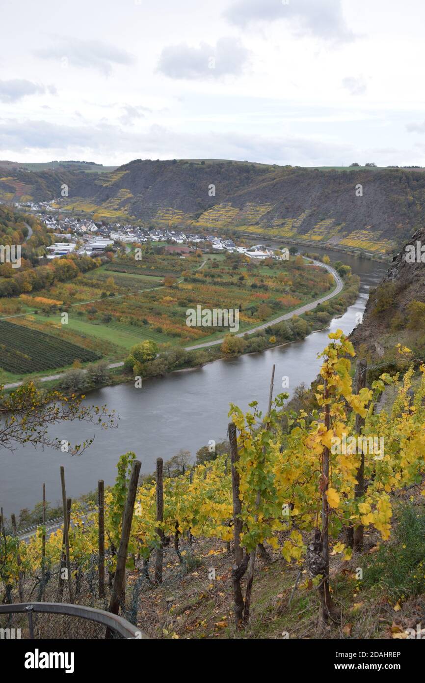 view into Mosel valley from Blumslay to Dieblich Stock Photo - Alamy