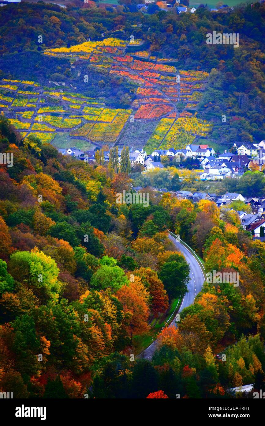 view into Mosel valley from Blumslay to Dieblich Stock Photo - Alamy