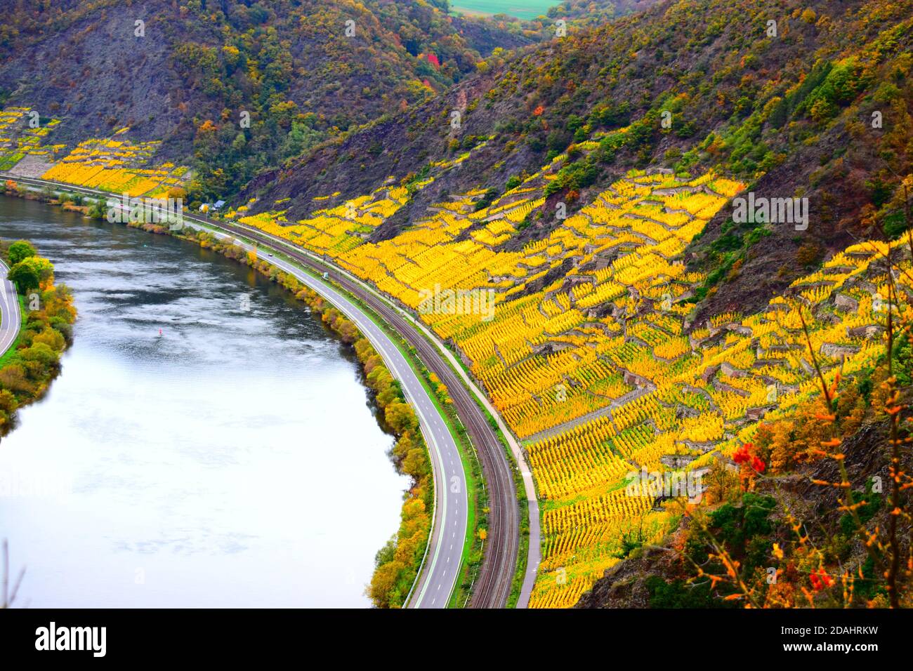 view into Mosel valley from Blumslay to Dieblich Stock Photo - Alamy