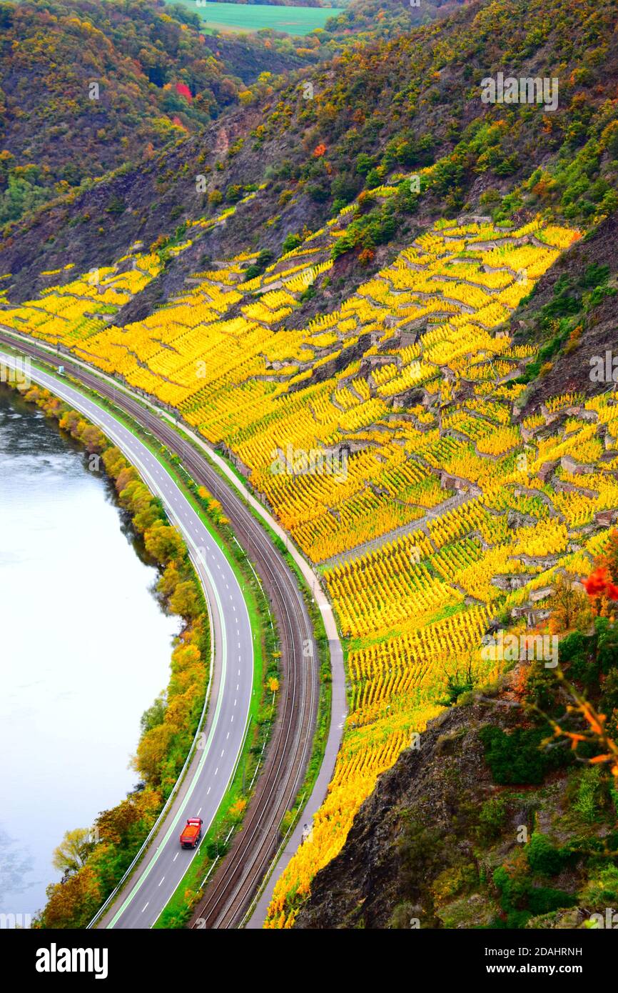 view into Mosel valley from Blumslay to Dieblich Stock Photo - Alamy