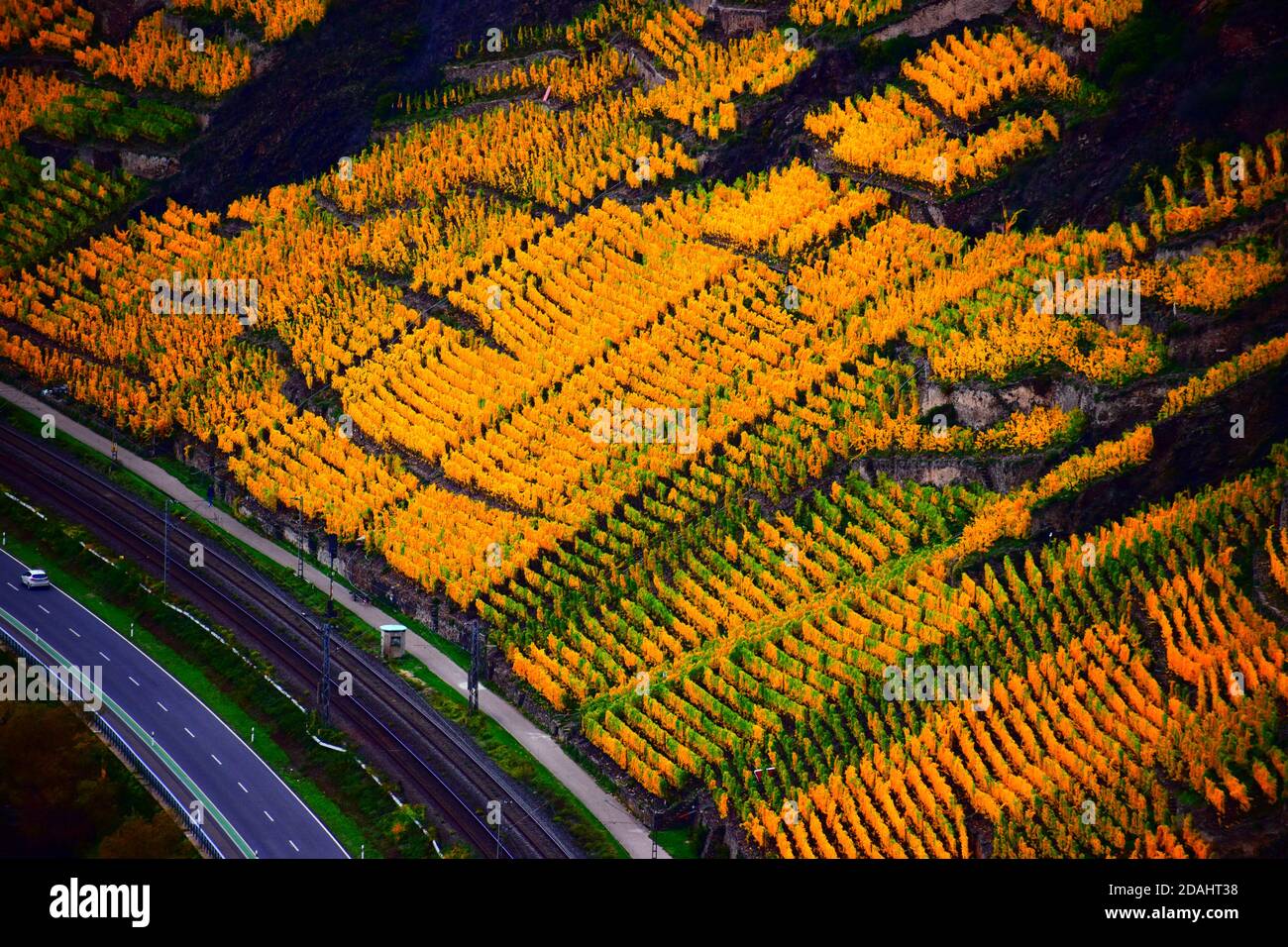 view into Mosel valley from Blumslay to Dieblich Stock Photo - Alamy