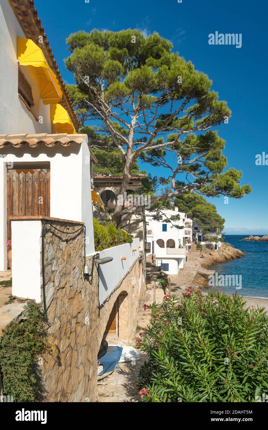 BEACH CALA SA TUNA BEGUR COSTA BRAVA CATALONIA SPAIN Stock Photo - Alamy