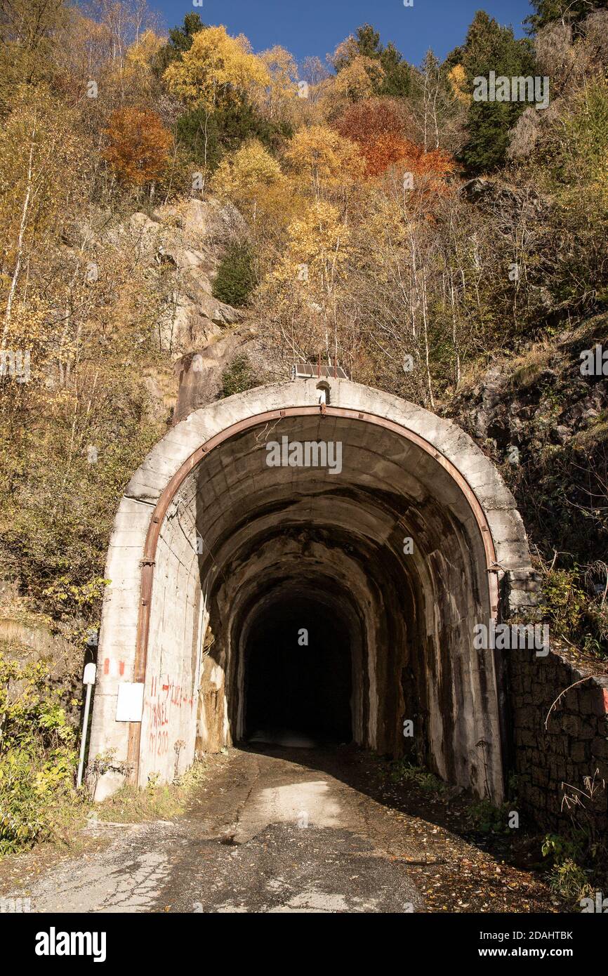 Dark tunnel on the road to Preda Rossa, with yellow trees in autumn, on ...