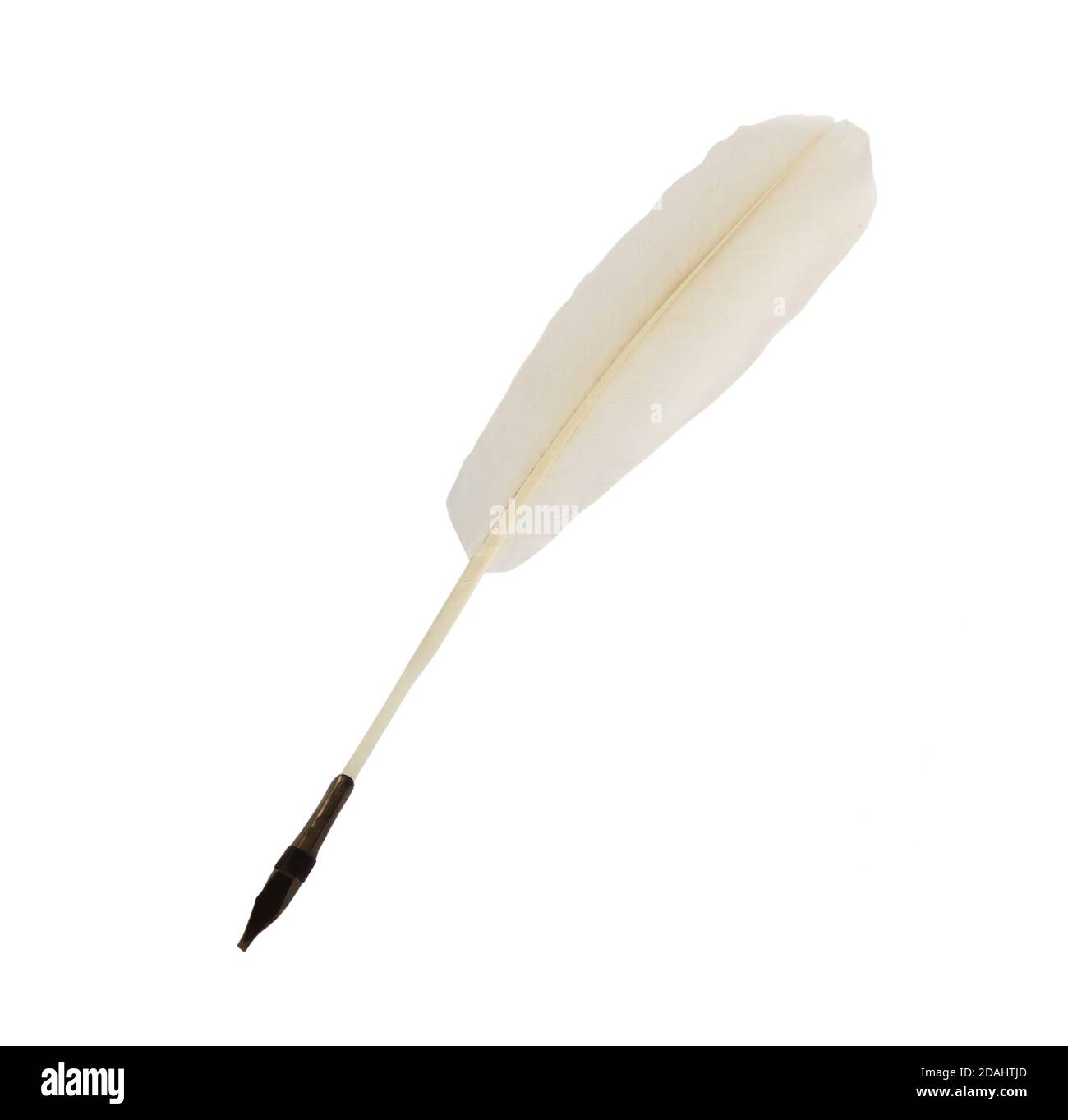 Feather pen isolated on white background Stock Photo - Alamy
