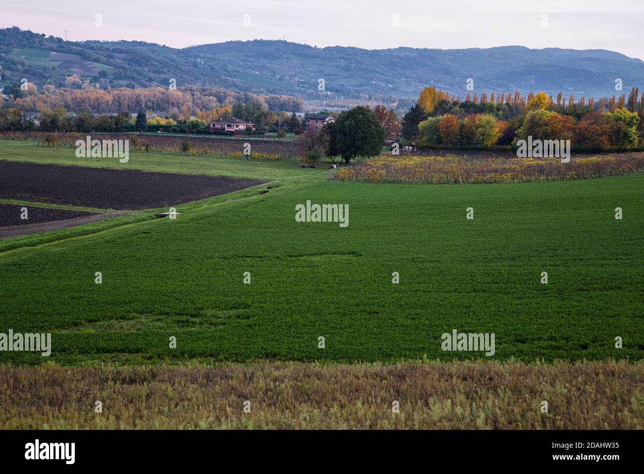 Parma countryside hi-res stock photography and images - Alamy