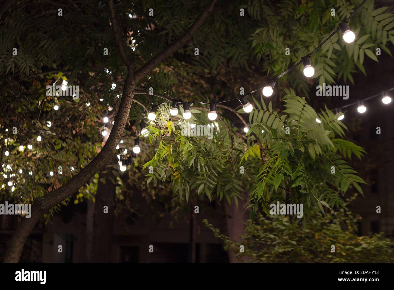 Backyard illumination, light in the evening garden, electric lanterns ...