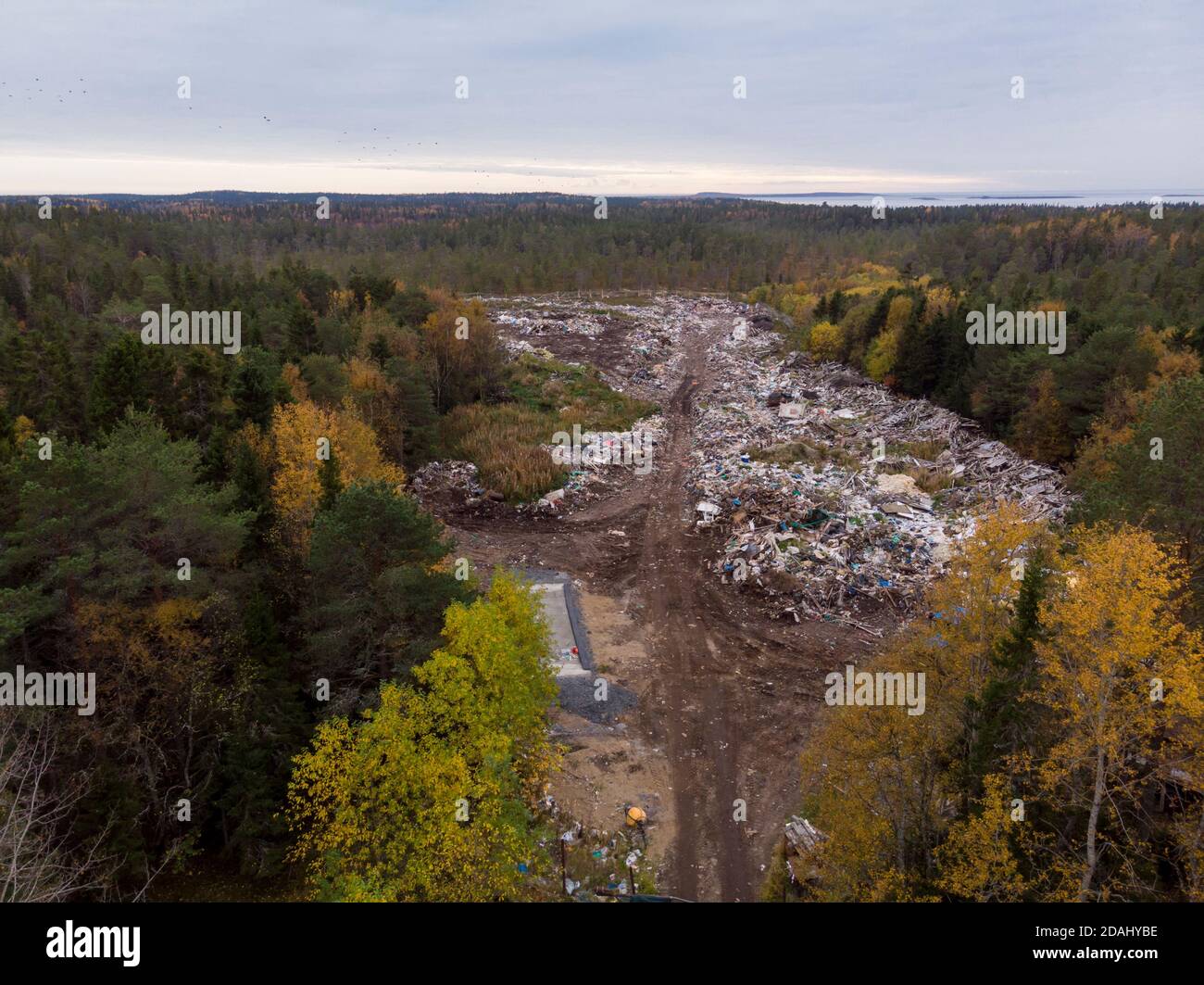Dump in the forest hi-res stock photography and images - Alamy