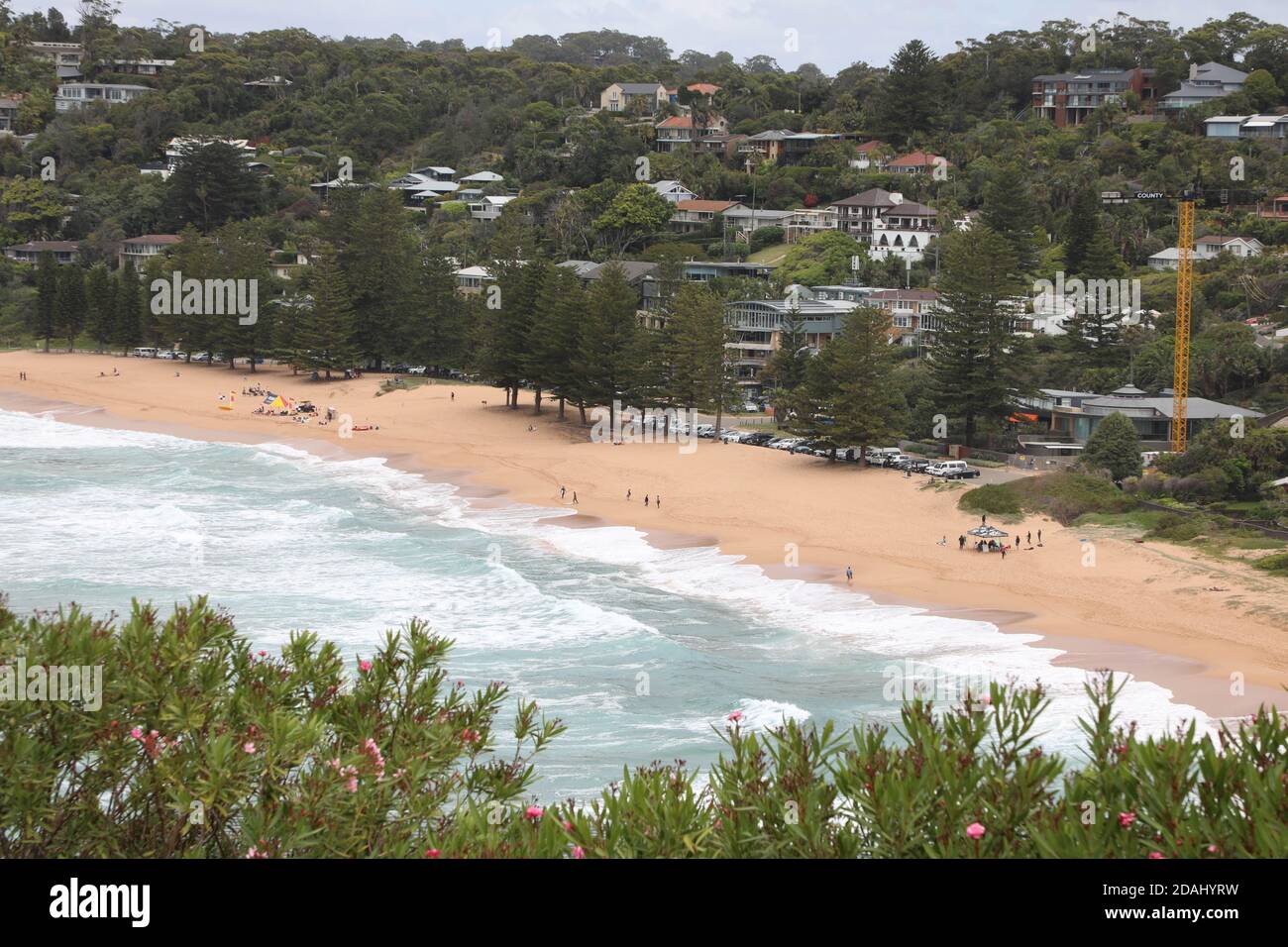 Whale Beach and Dolphin Bay, Sydney, NSW, Australia Stock Photo - Alamy