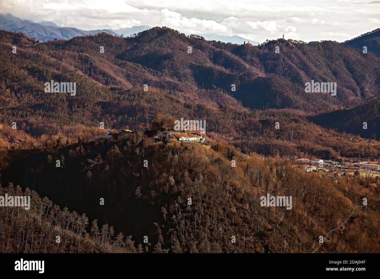 Arid forest hi-res stock photography and images - Alamy