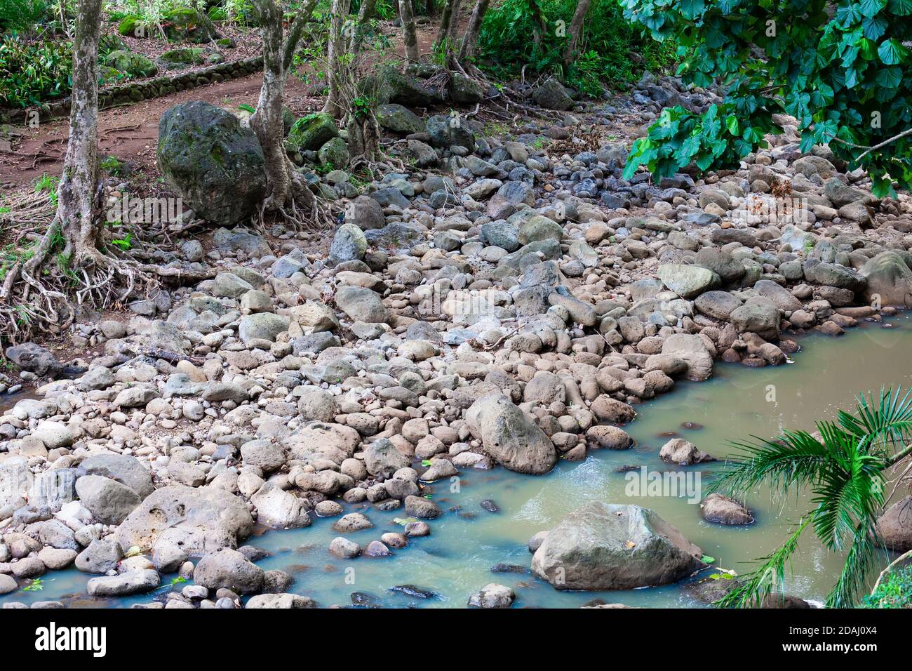 Dry riverbed in Waimea Valley, Oahu, Hawaii, with remnants of water ...